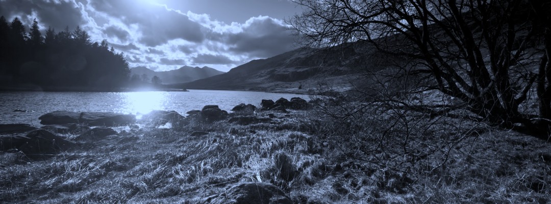 Home The Simple Solution